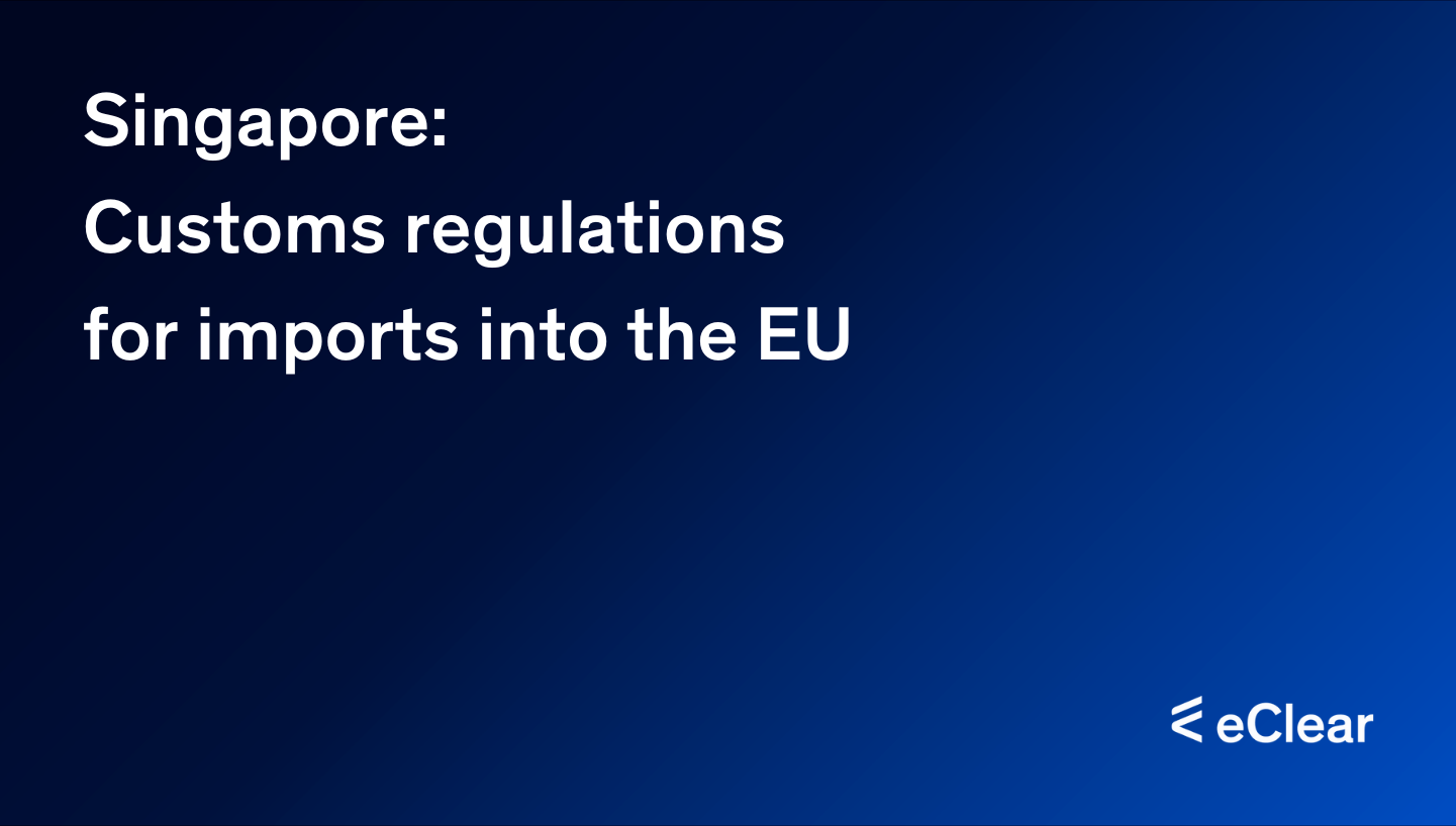 Singapore to EU Export Guide: Customs, Compliance & Strategies
