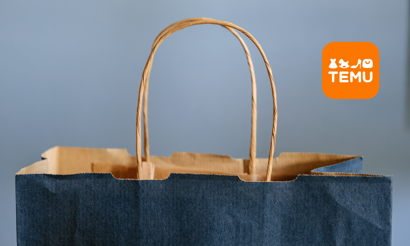 Disrupting Online Shopping: Temu's Impact on E-commerce